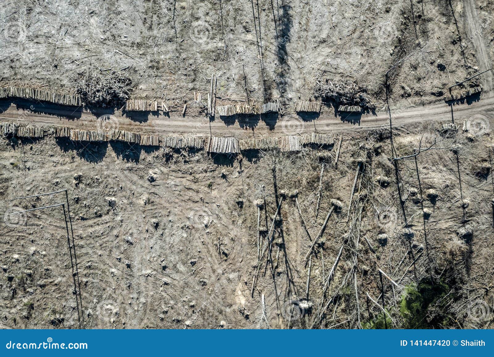 Flying Above Horrible Deforestation, Logging, Environmental Destruction ...