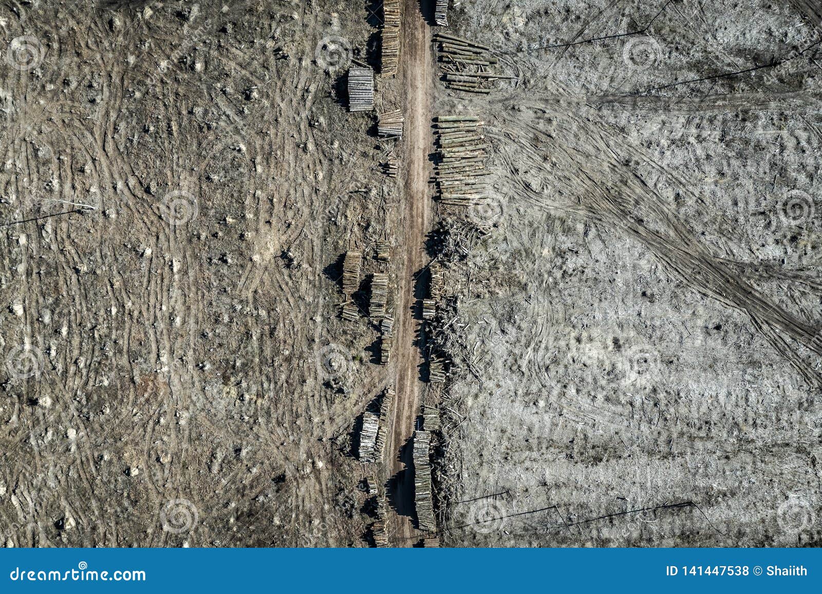 Flying Above Terrible Deforestation, Destroyed Forest for Harvesting ...