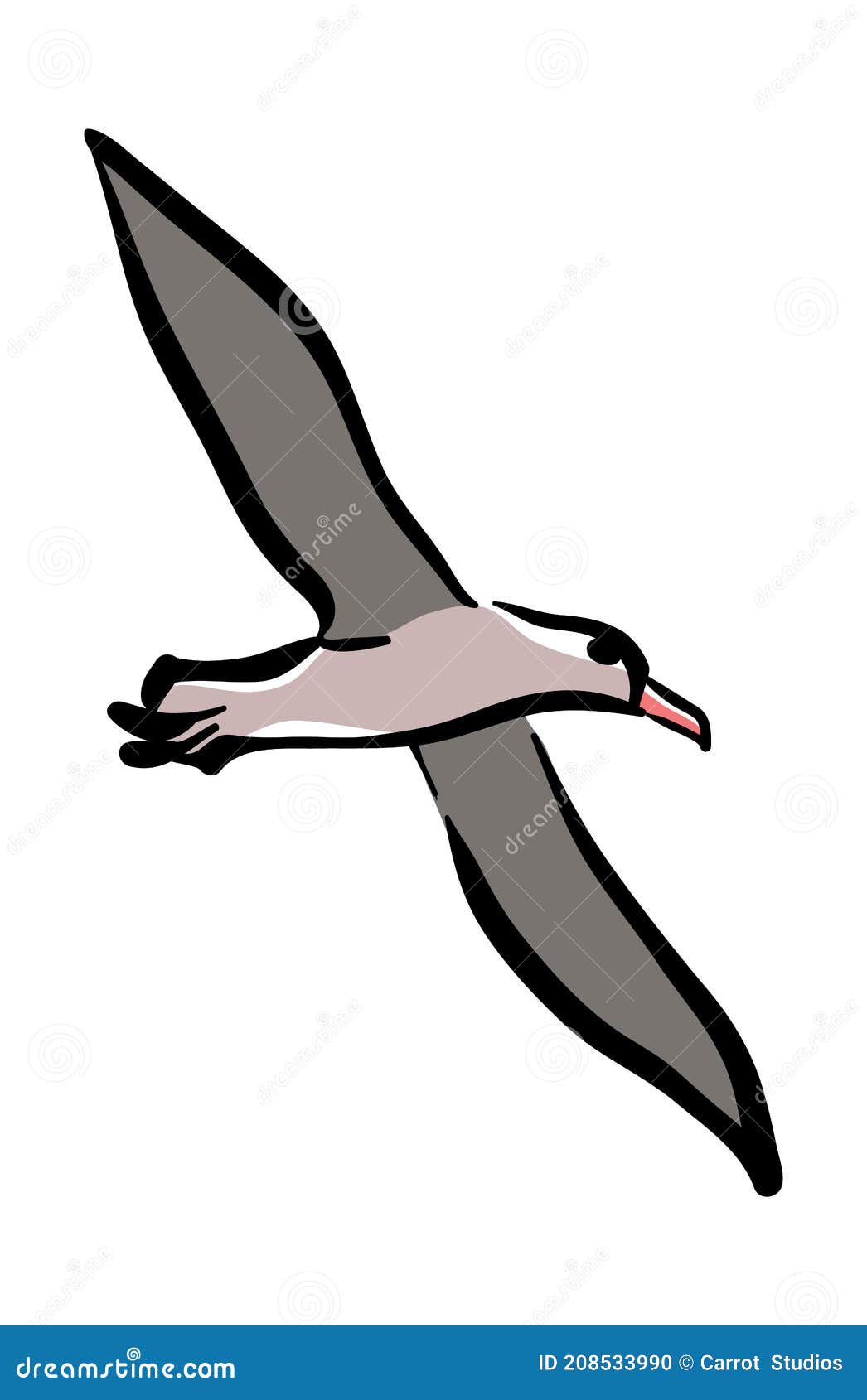 Albatross And Sea Mew Flying. Hand Drawn Sketch Bird. Vector Black Ink ...