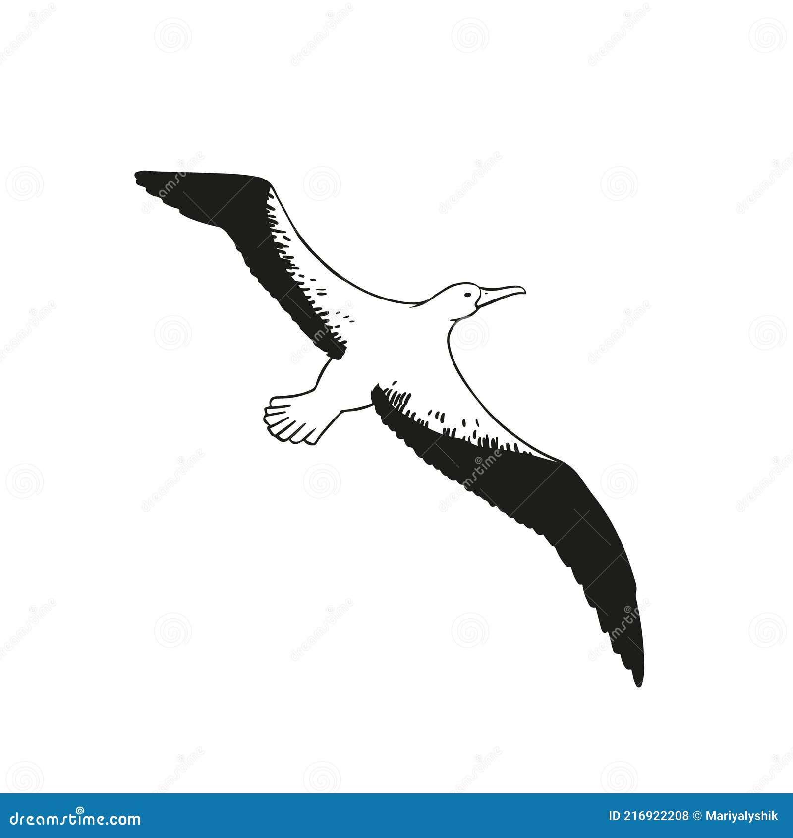 Albatross Vector Silhouette Illustration Isolated On White Background ...