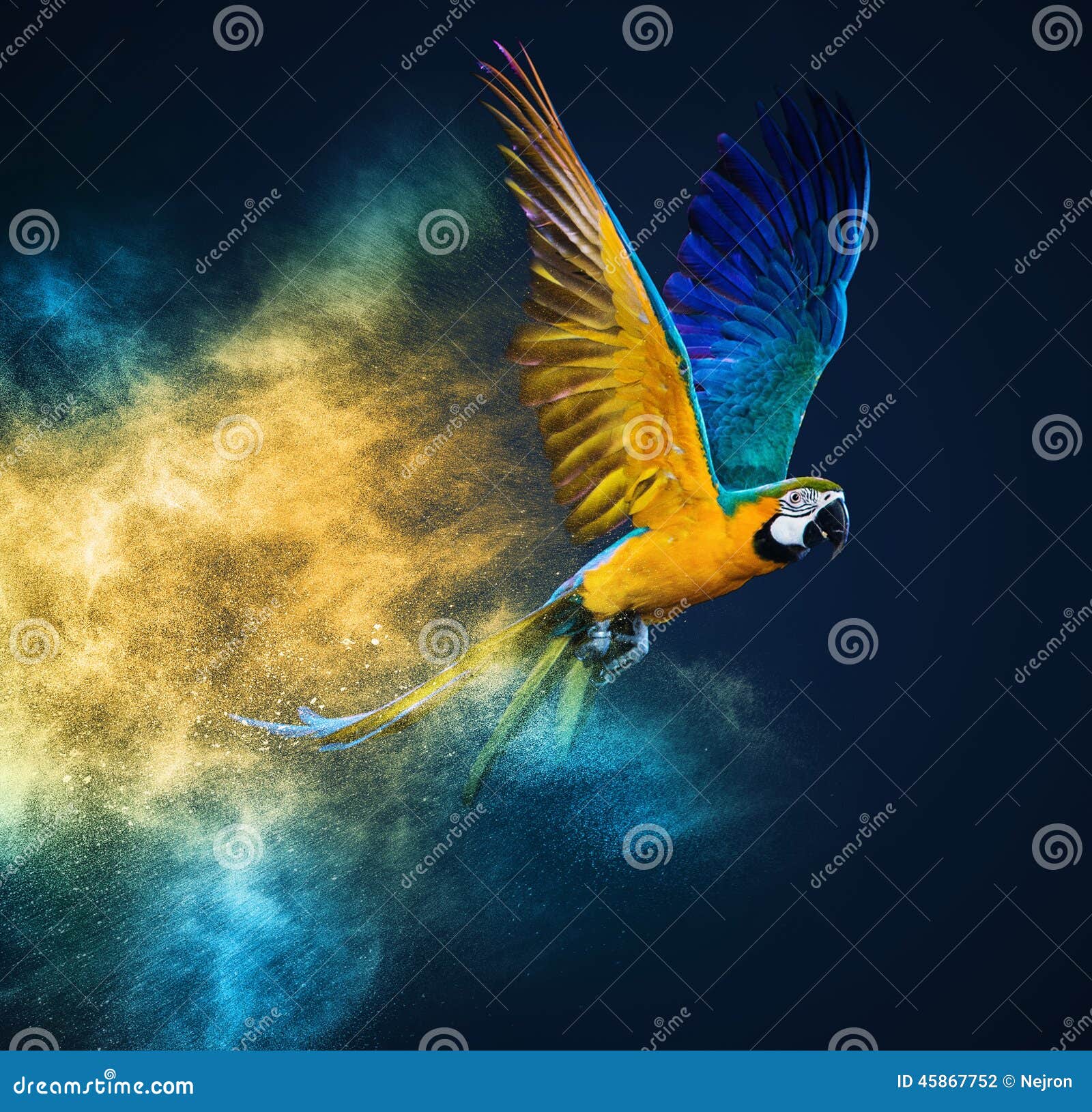Flying Ara Parrot Stock Photo - Image: 45867752