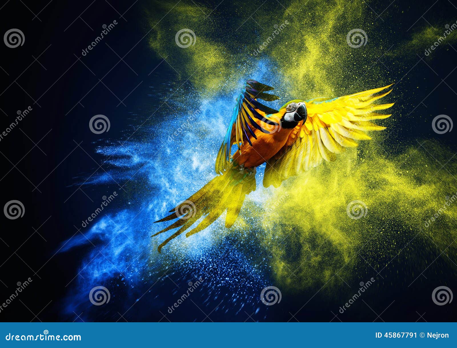 Flying Ara parrot stock image. Image of explode, bird - 45867791