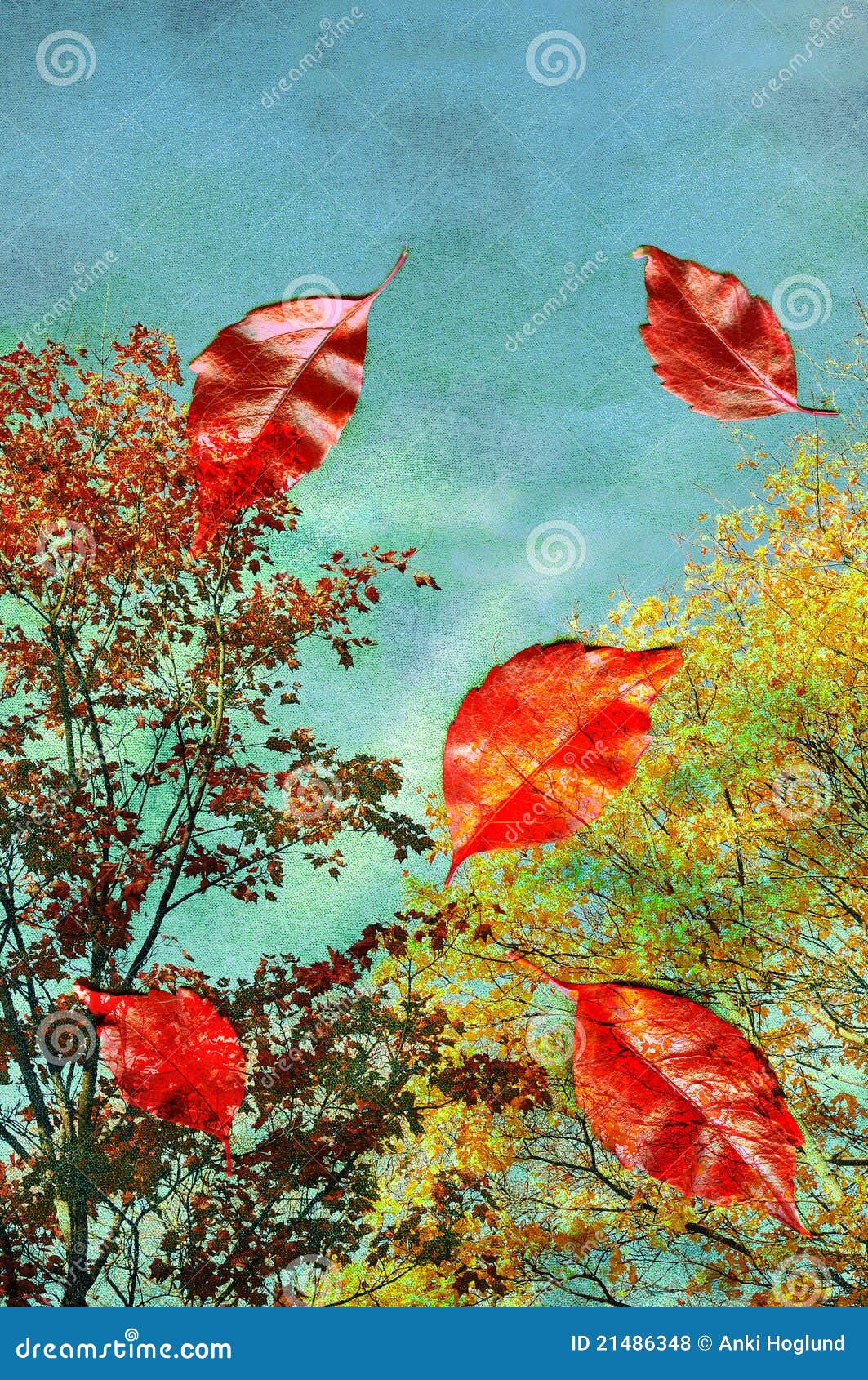 Flying autumn leaves stock photo. Image of leaf, autumn - 21486348