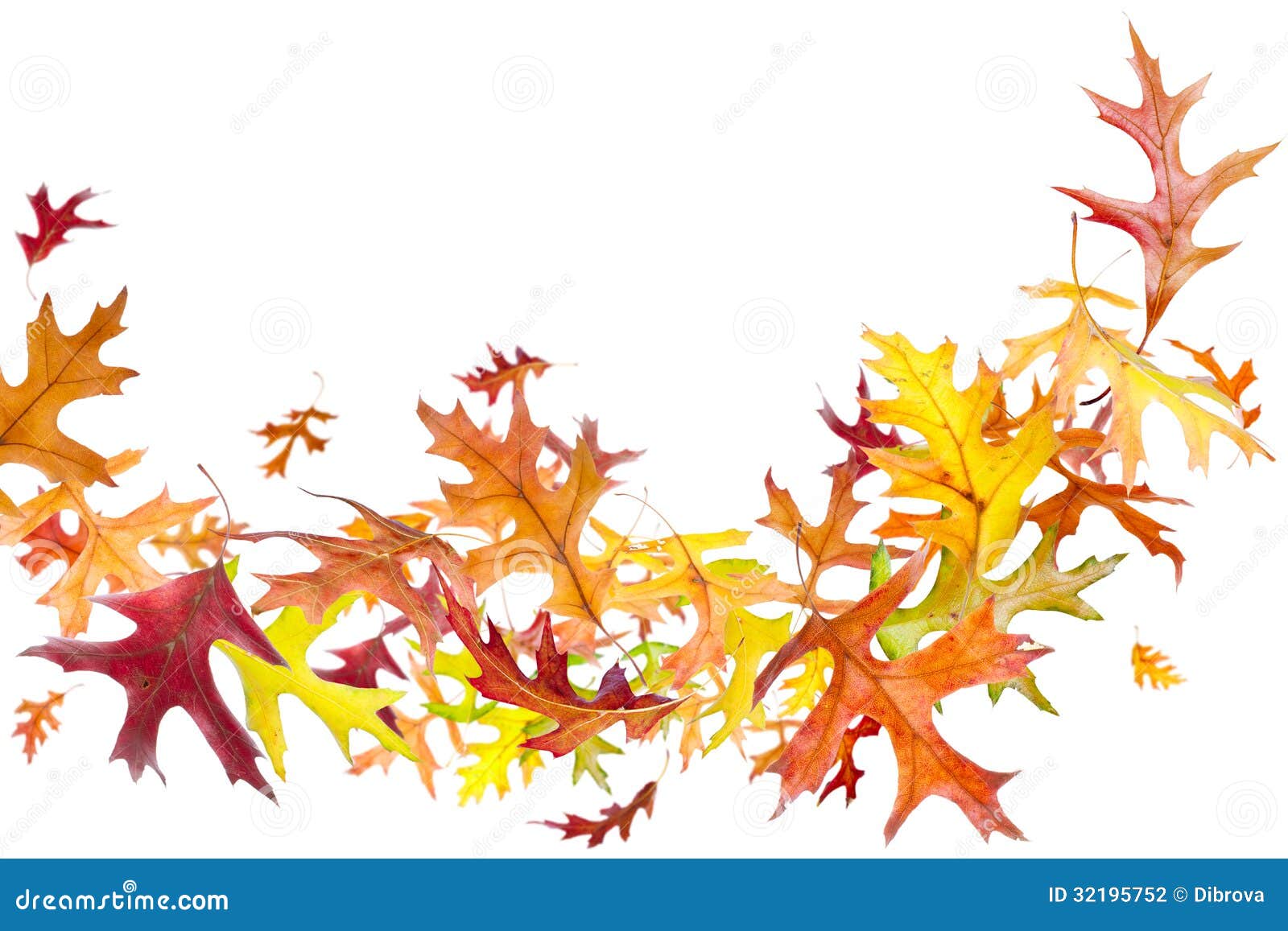 Flying Autumn Leaves stock photo. Image of leaves, spinning - 32195752