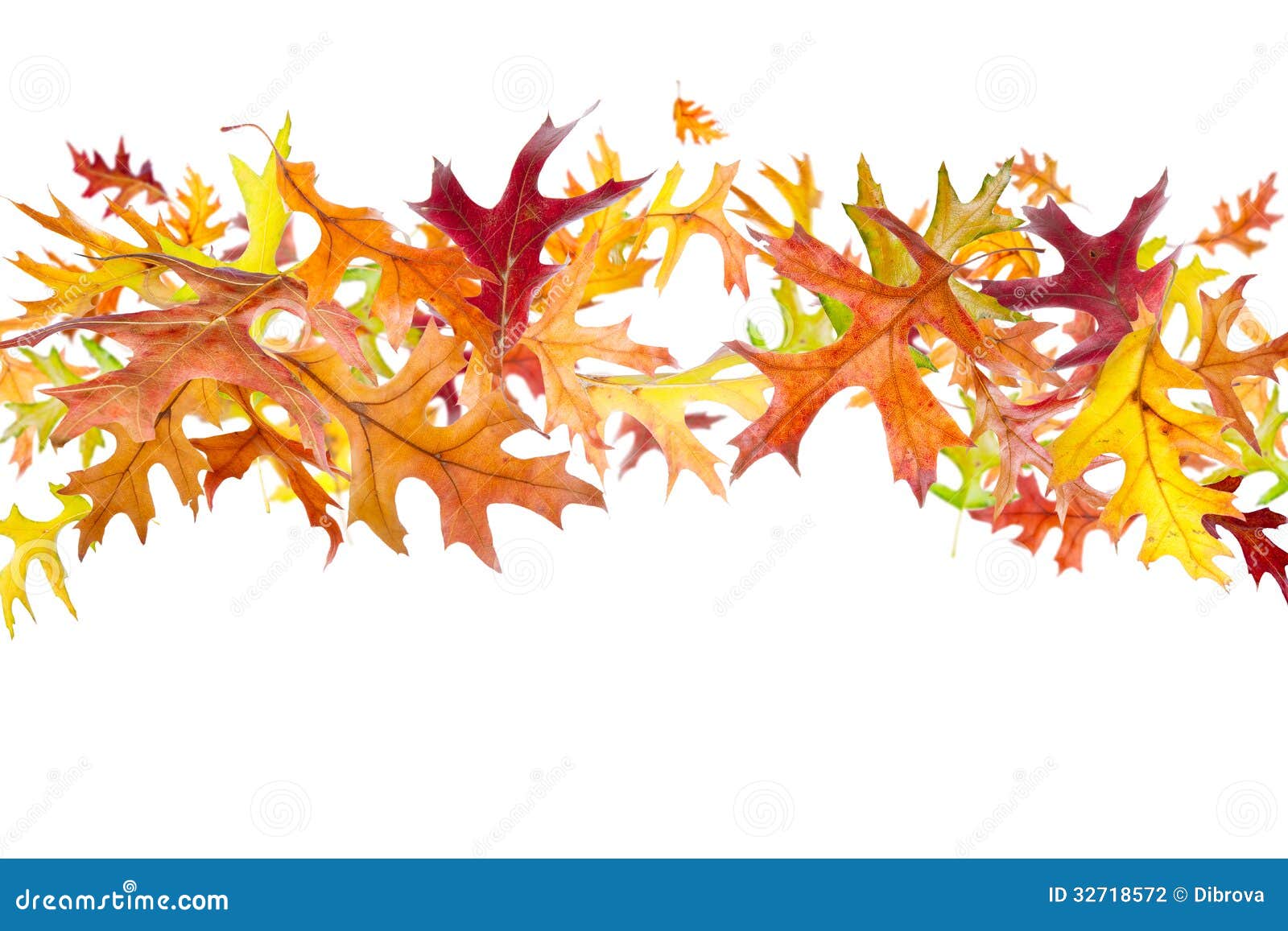 Flying Autumn Leaves stock photo. Image of spinning, group - 32718572