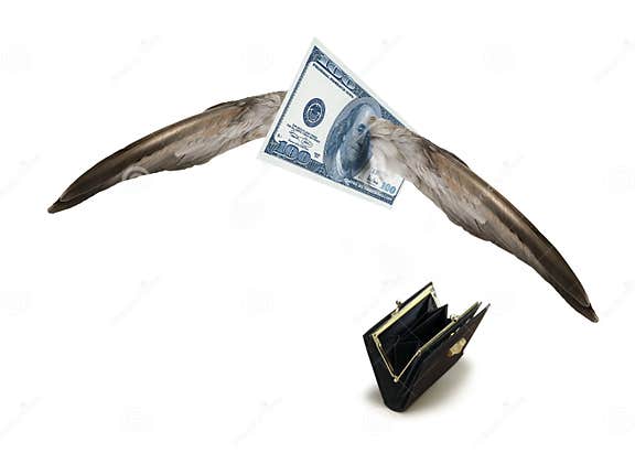 Flying away dollar stock photo. Image of commercial, symbol - 7280614