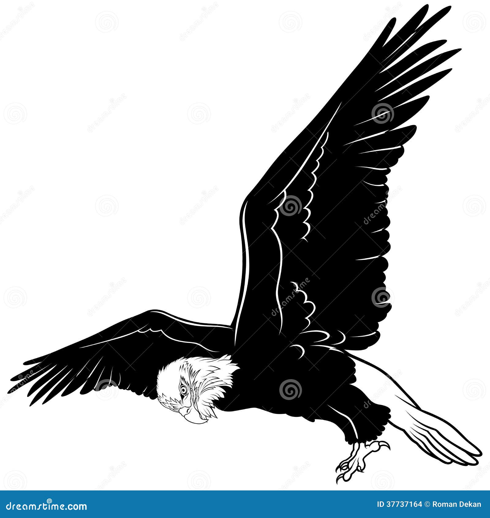 Flying Bald Eagle stock vector. Illustration of clipart - 37737164