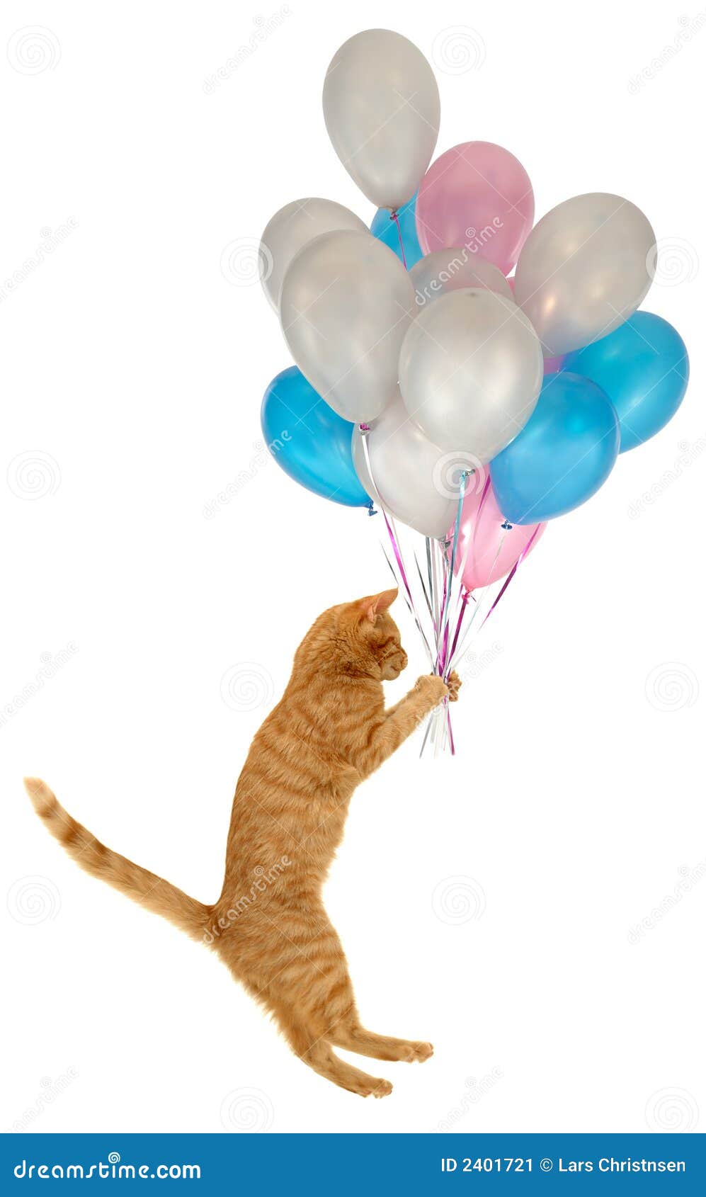 Flying balloon cat stock image. Image of anniversary, abstract - 2401721