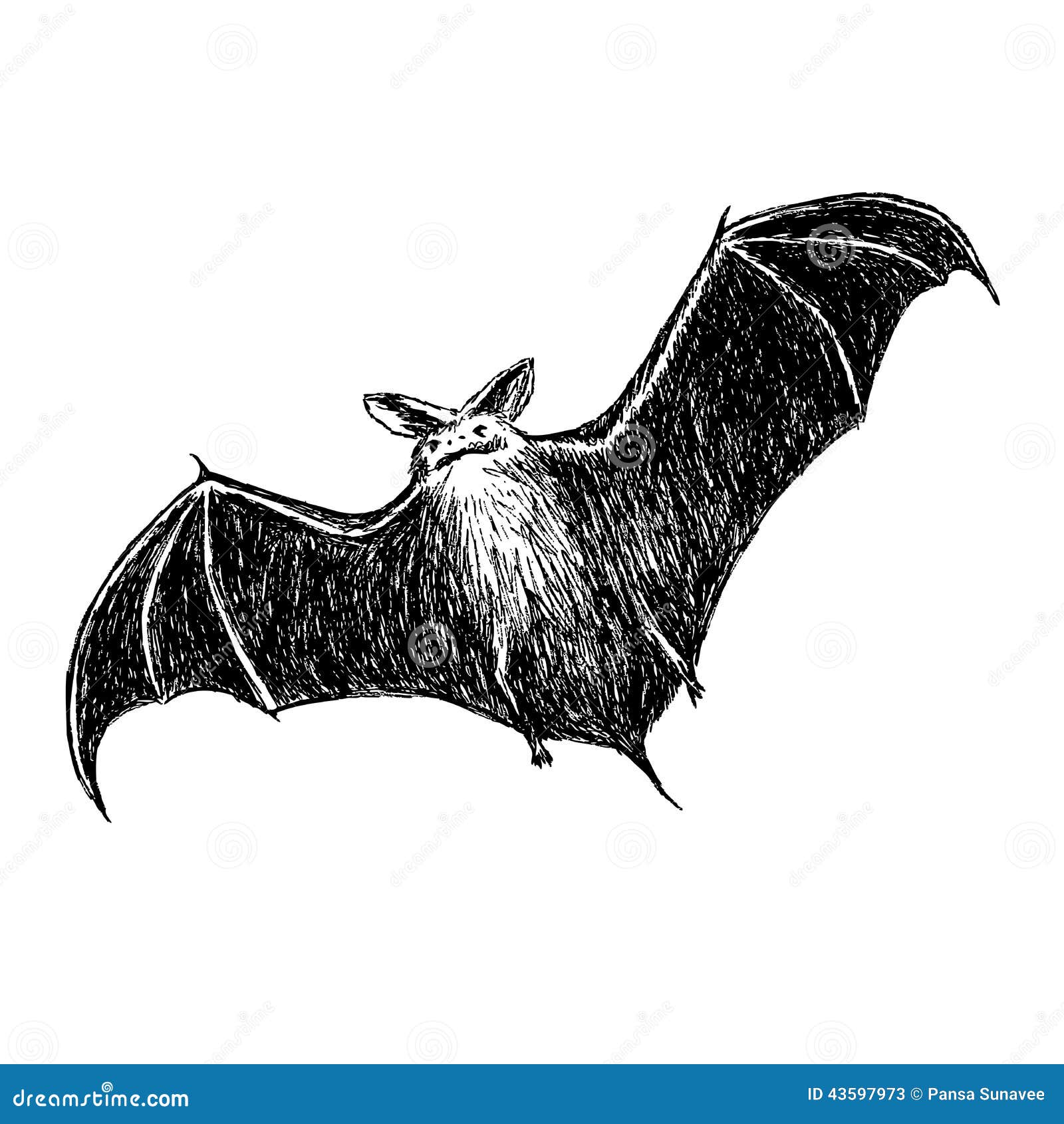 Flying bat stock vector. Illustration of black, crayon - 43597973