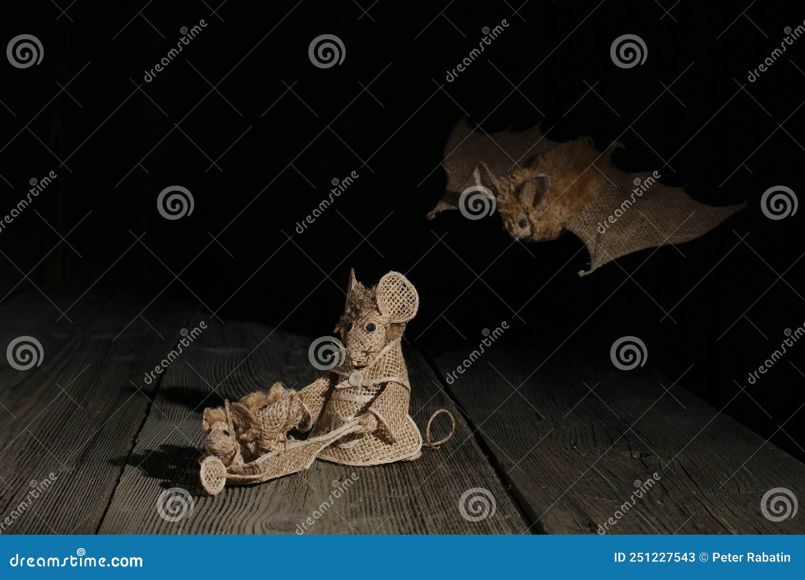 Bat on the hunt stock image. Image of speed, nature - 251227543