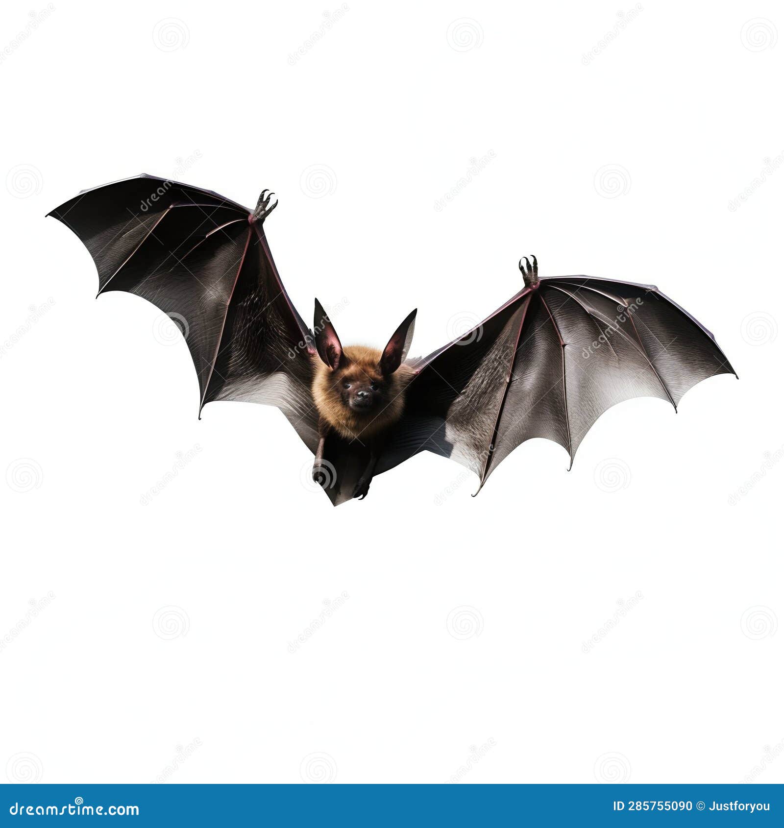 Flying Bat Isolated on White Background. Generative Ai Stock ...