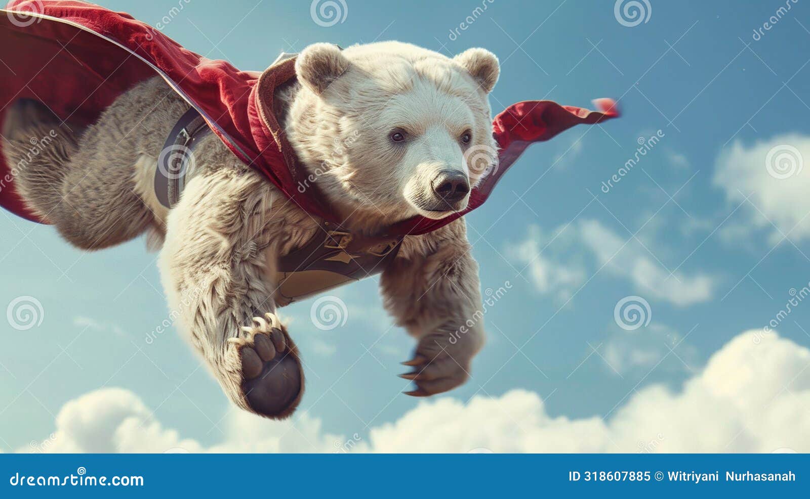 Flying Bear Royalty-Free Stock Photography | CartoonDealer.com #49261439