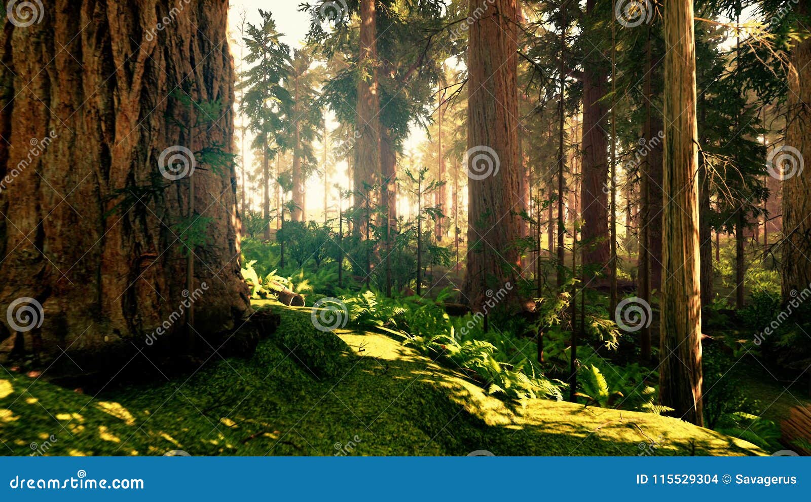 Flying through the Beautiful Forest Trees Stock Photo - Image of ...