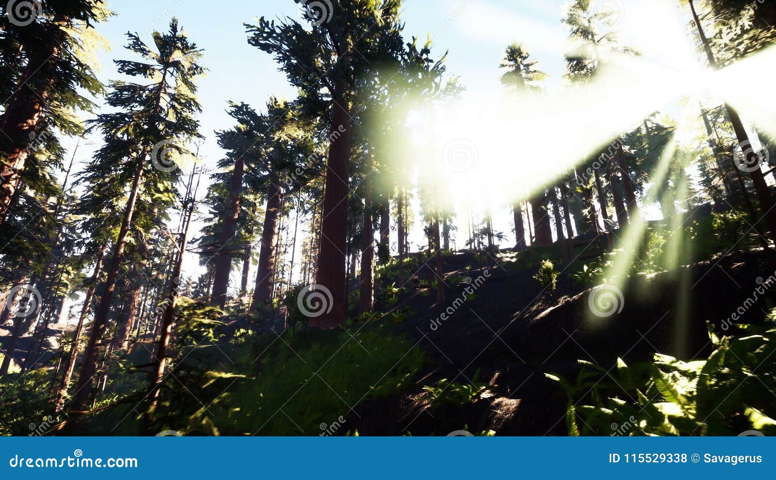 Flying through the Beautiful Forest Trees Stock Photo - Image of plant ...
