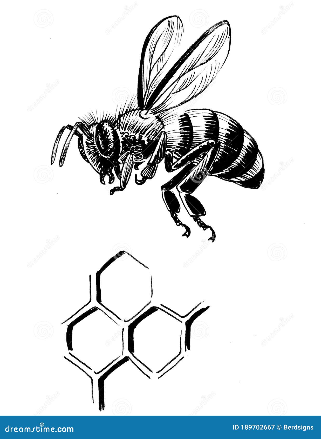 Flying Bee Drawing