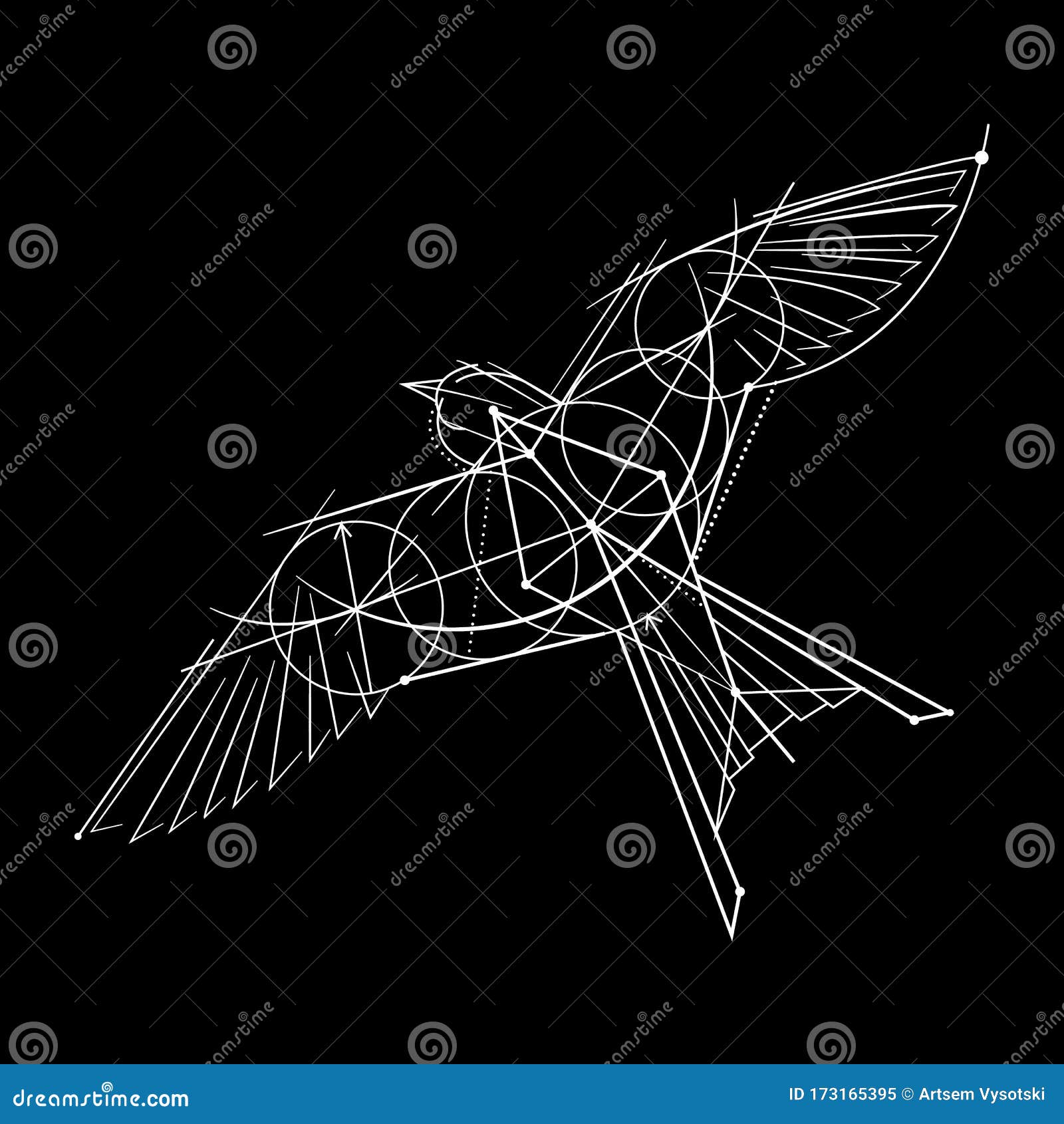 Flying Bird Continuous Line Drawing Element Isolated on Black ...