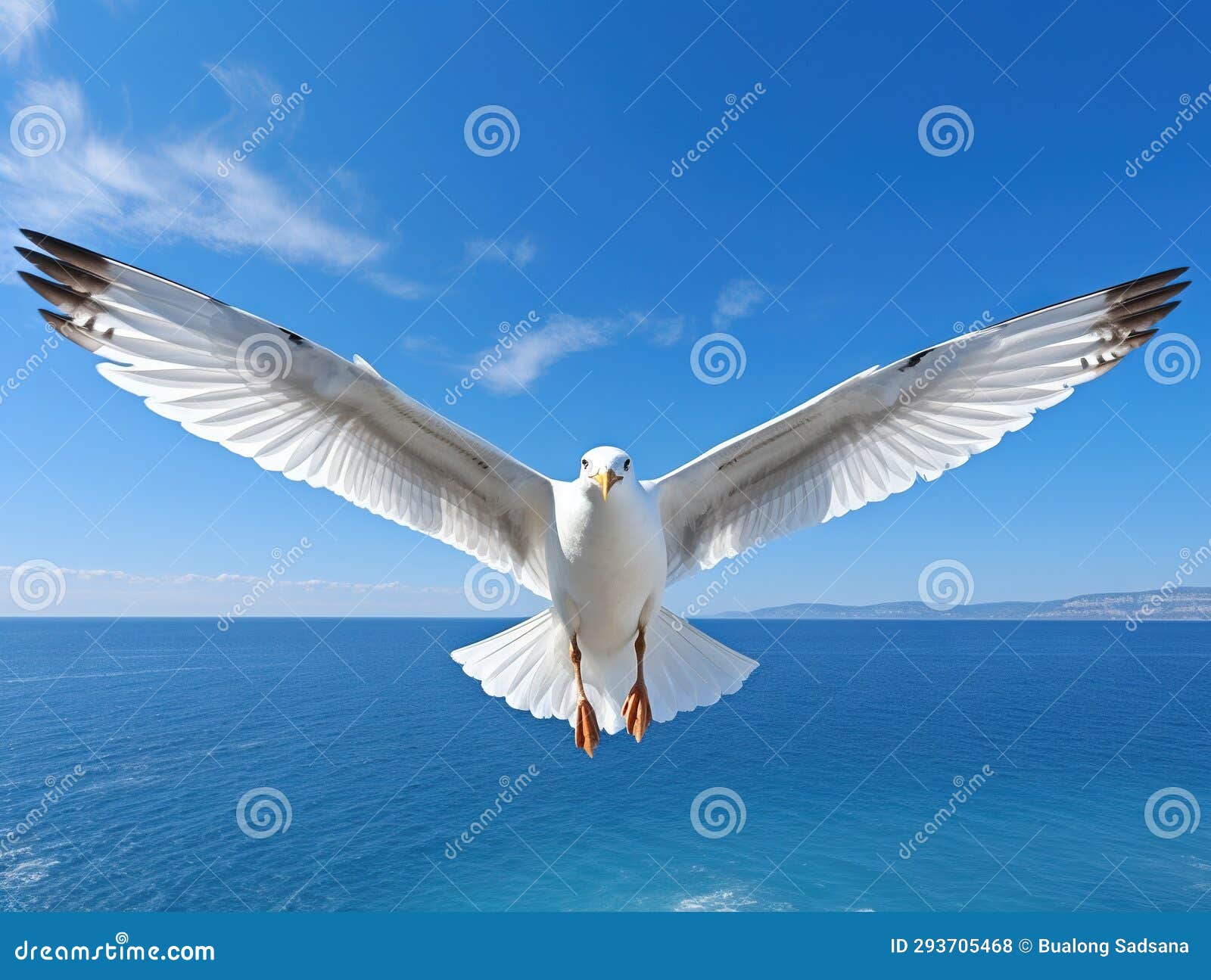 Ai Generated Illustration Wildlife Concept of Flying Bird Stock ...
