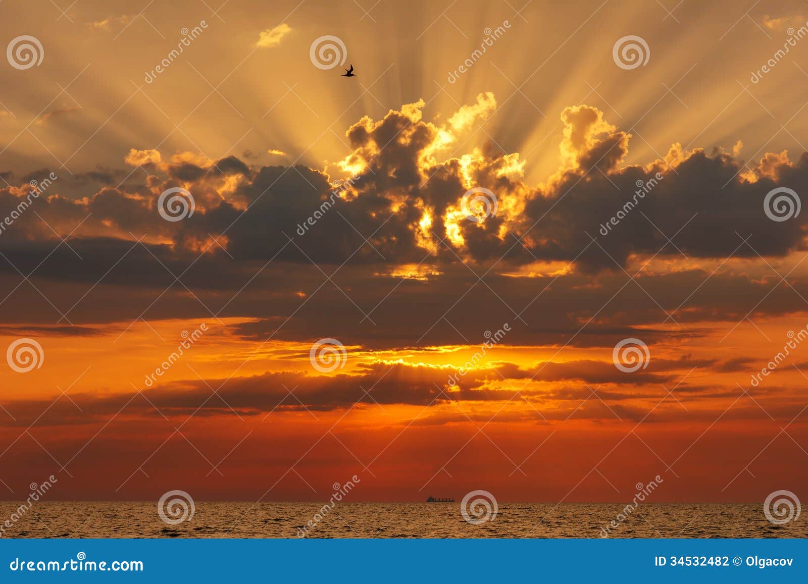 Flying Bird at Sunset Over the Sea Stock Photo - Image of landscape ...