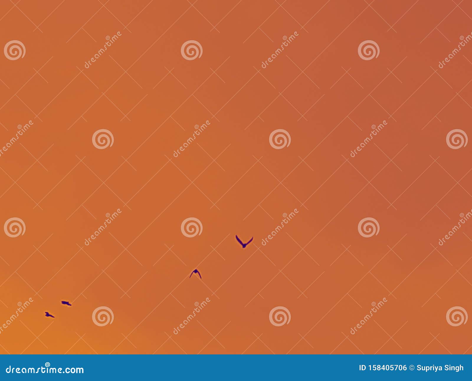 Flying Birds in Abstract Background Stock Photo - Image of background ...
