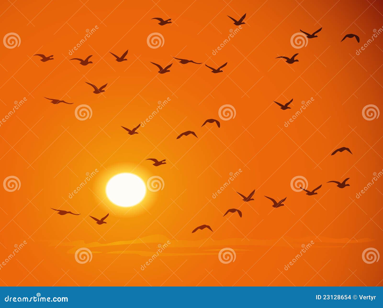 Flying Birds Against Orange Sunset Stock Vector - Illustration of ...