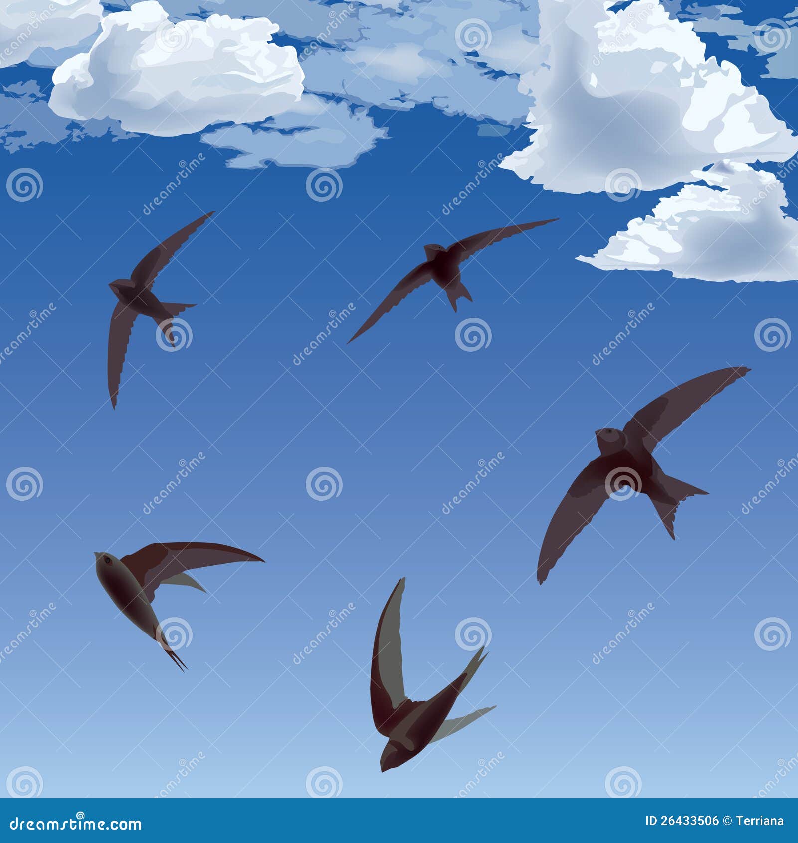 Flying Birds Swifts in the Sky Stock Vector - Illustration of stylize ...