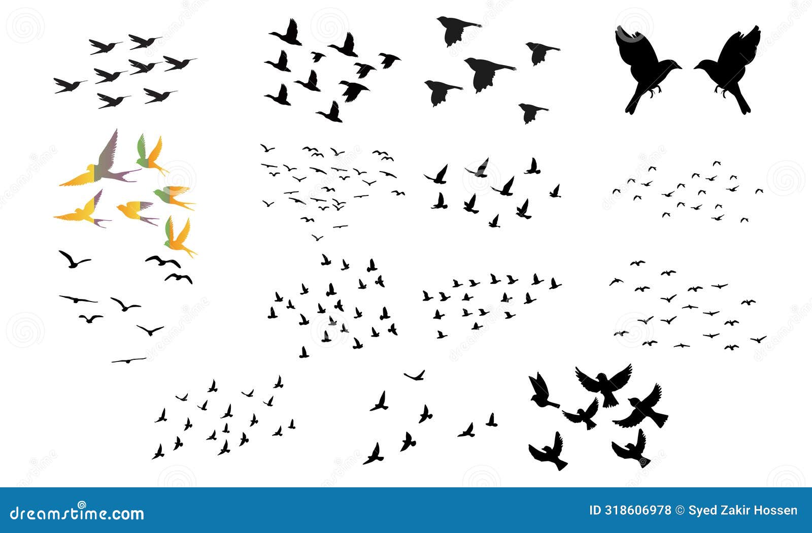 Flying Birds Vector Collection. Editorial Stock Photo - Illustration of ...