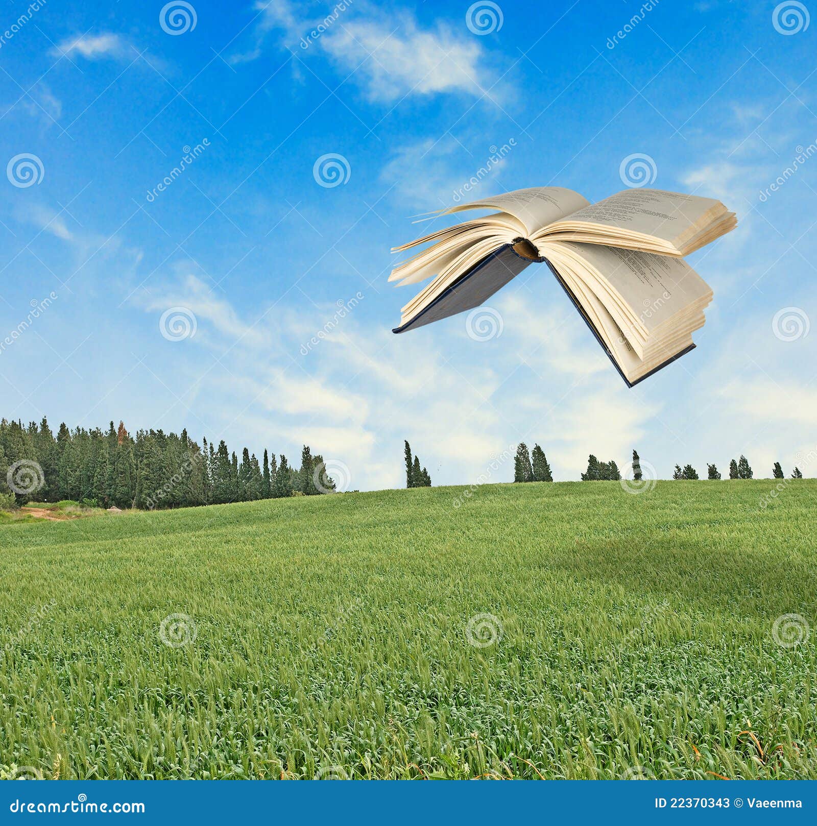 Flying book stock image. Image of field, nature, dream - 22370343