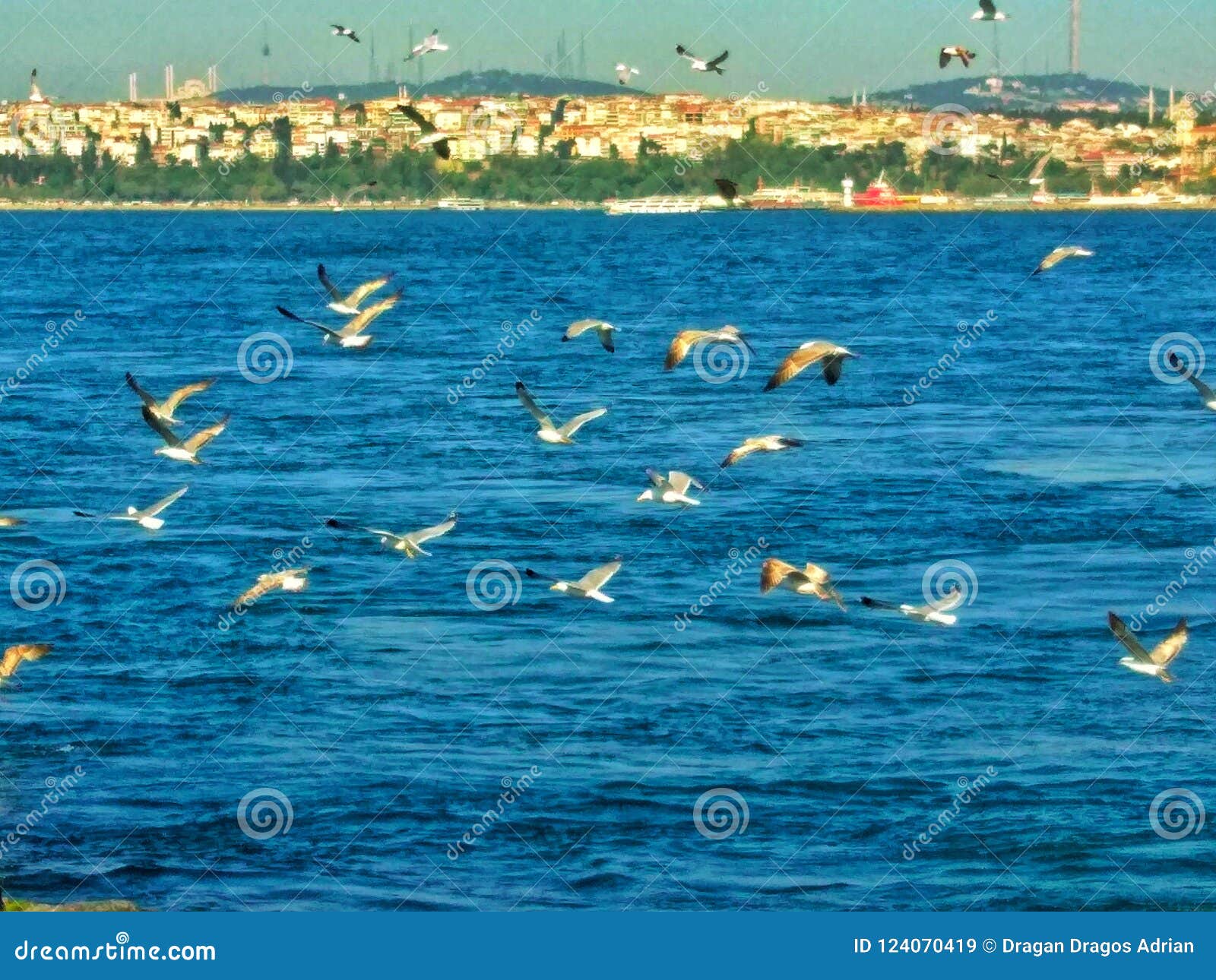 Flying on Bosfor, Istanbul stock image. Image of beautiful - 124070419
