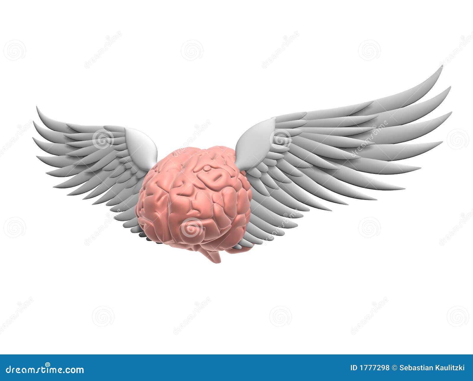 Flying brain stock illustration. Illustration of clip - 1777298