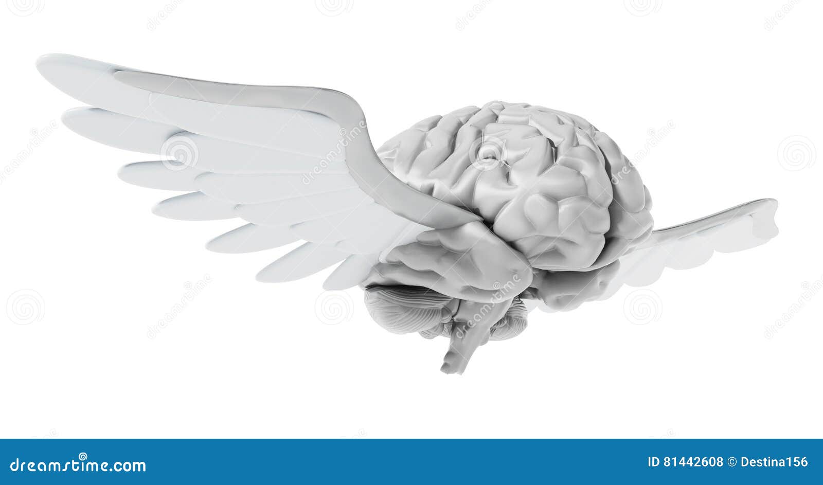 The Brain With Wings Flies Vector Illustration. Brains Of The Dreamer ...