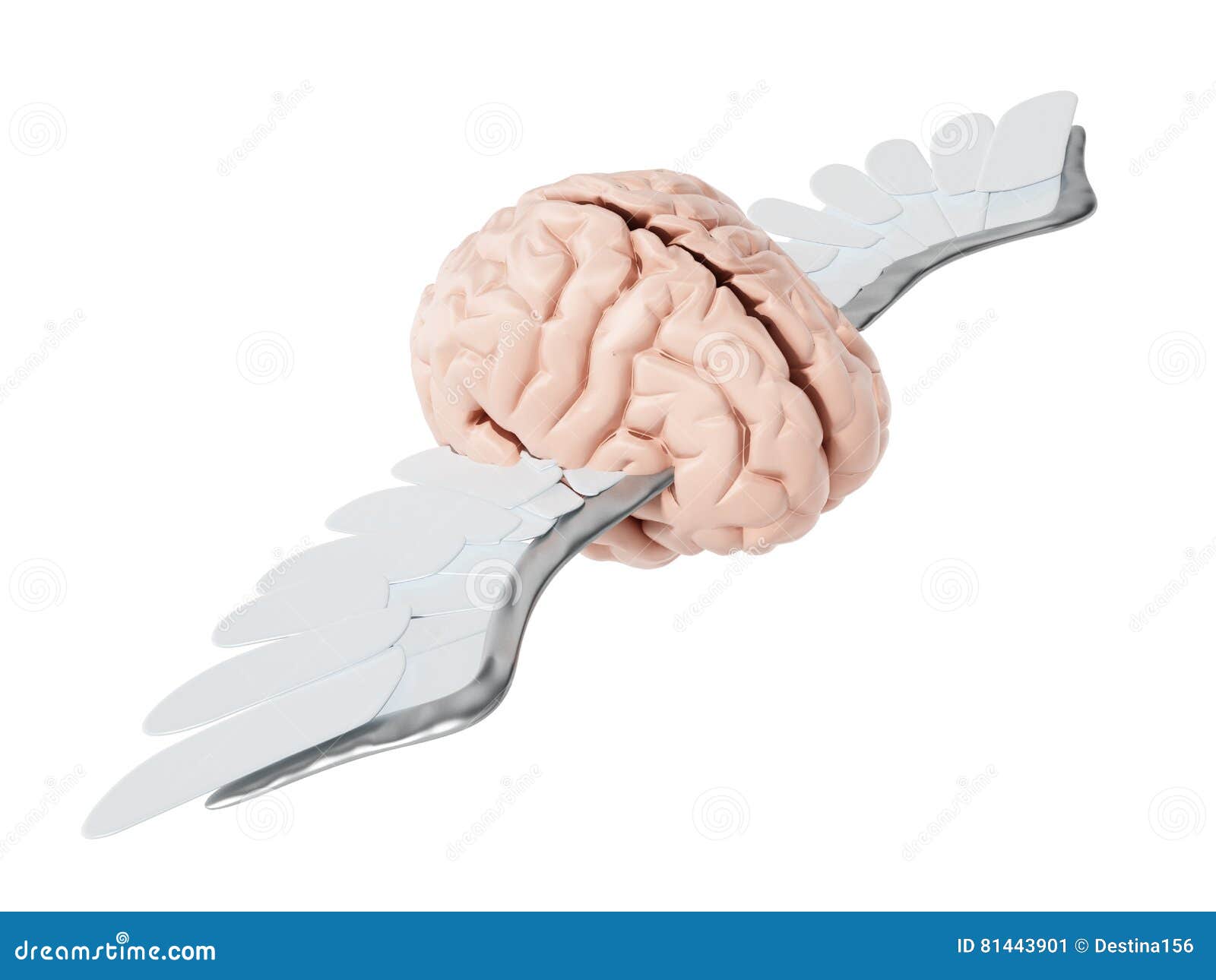 The Brain With Wings Flies Vector Illustration. Brains Of The Dreamer ...