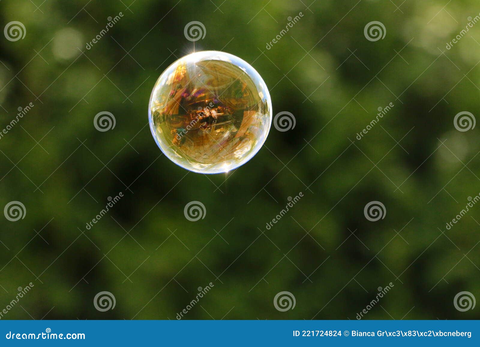 A Flying Bubble in the Garden Stock Photo - Image of clear, design ...