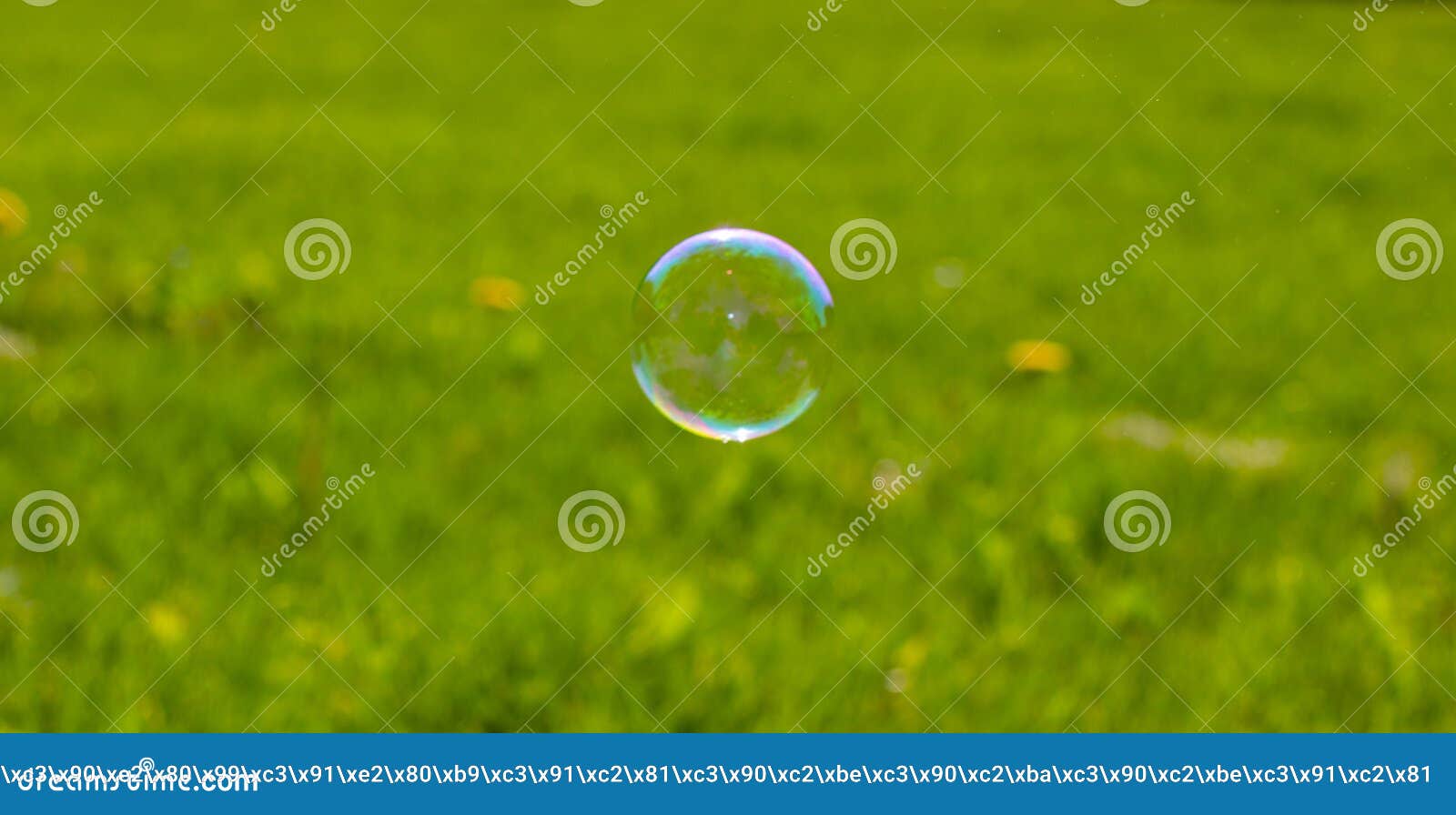 Flying bubble in nature. stock image. Image of color - 155597313