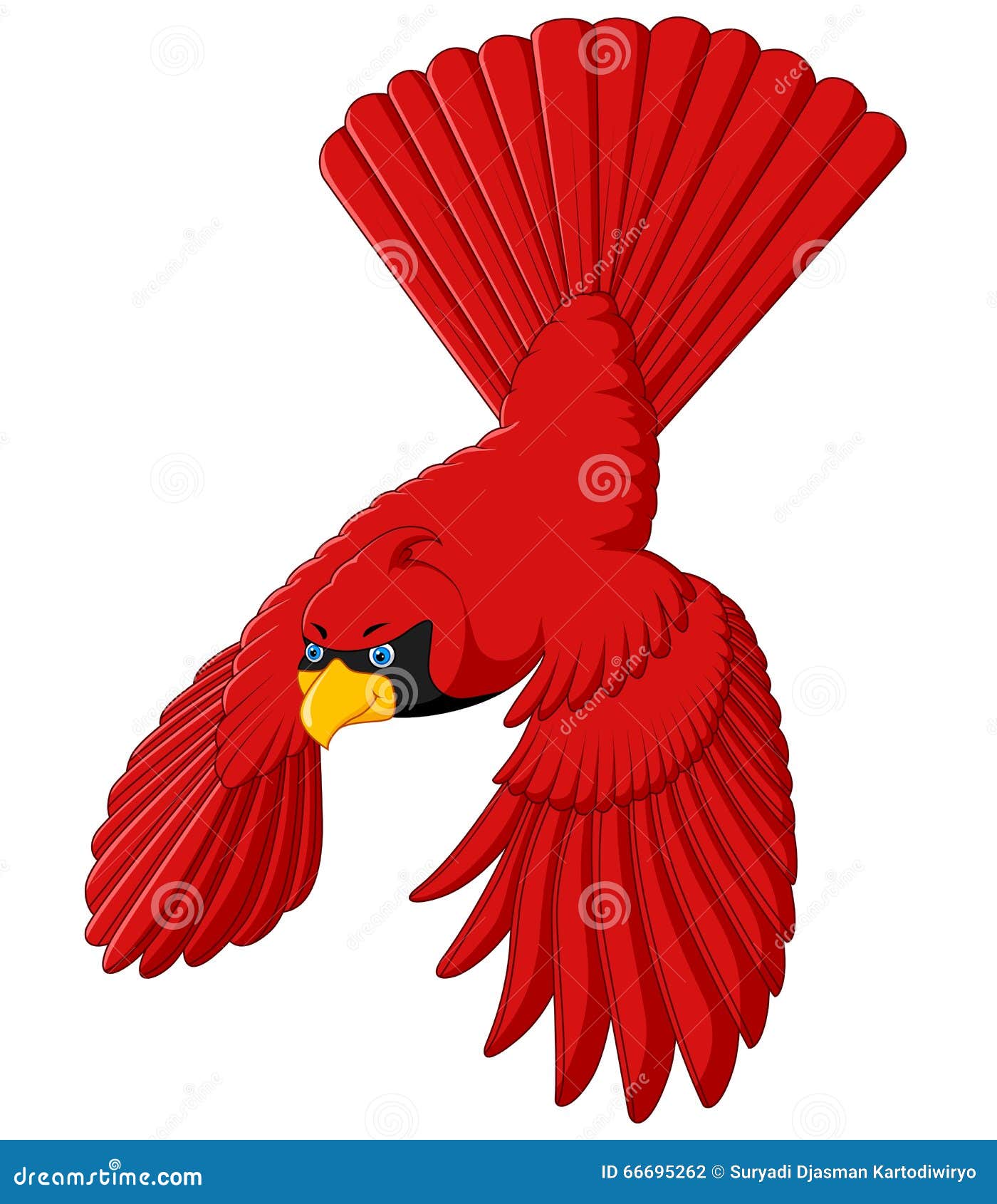 Flying cardinal bird stock vector. Illustration of mascot - 66695262