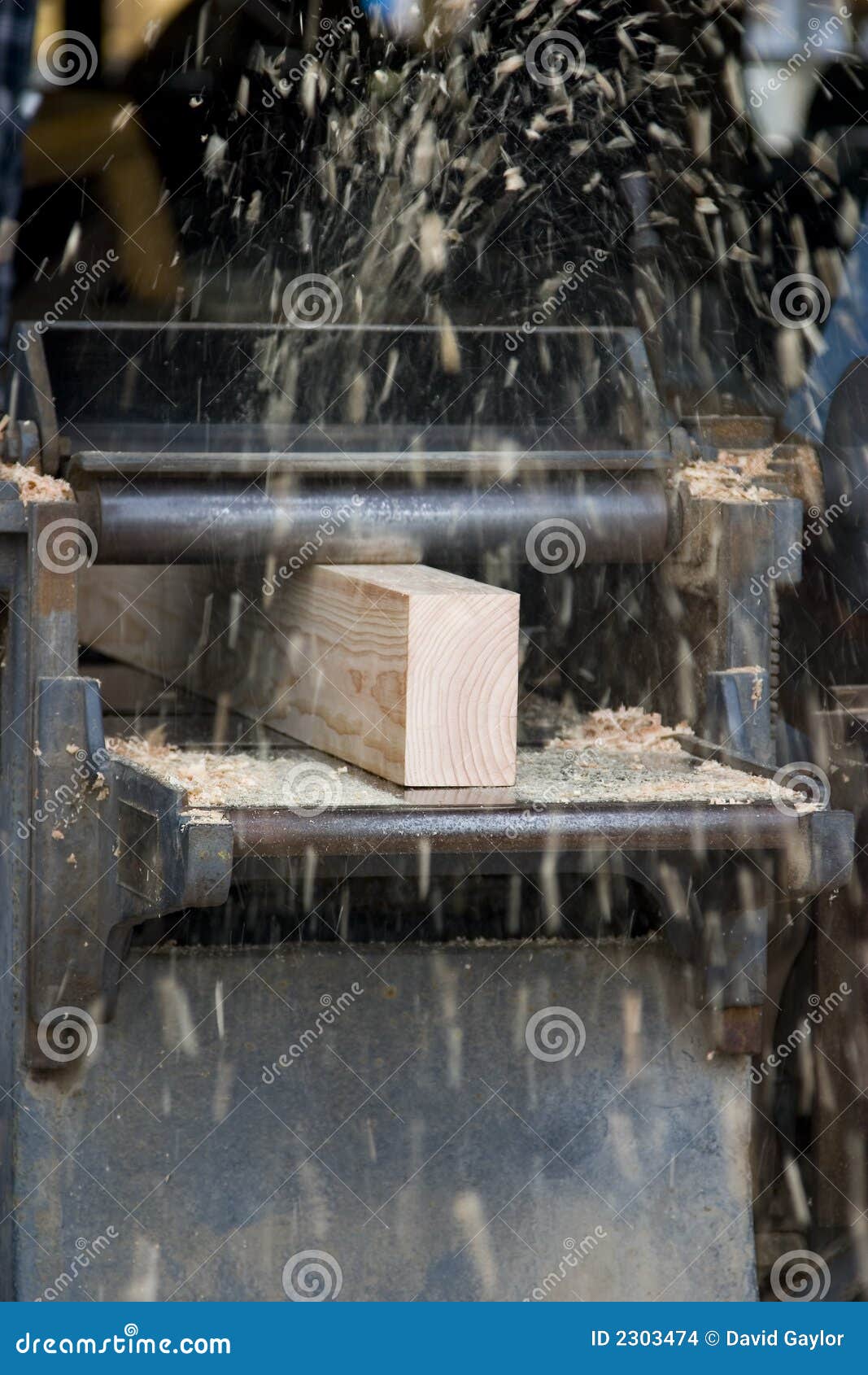 Flying chips stock photo. Image of forest, trade, plane - 2303474