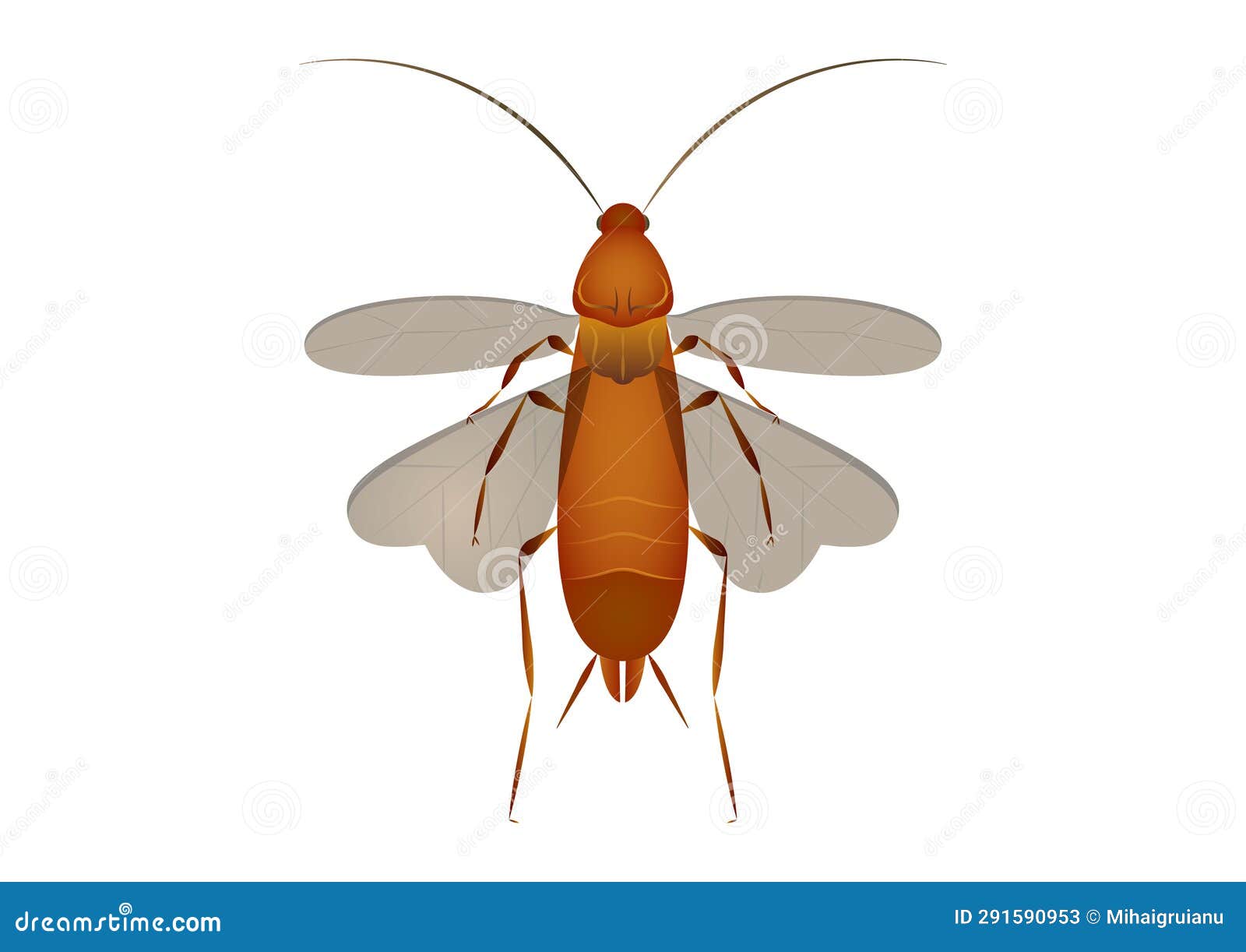 Flying Cockroach Vector Art Isolated on White Background Stock ...