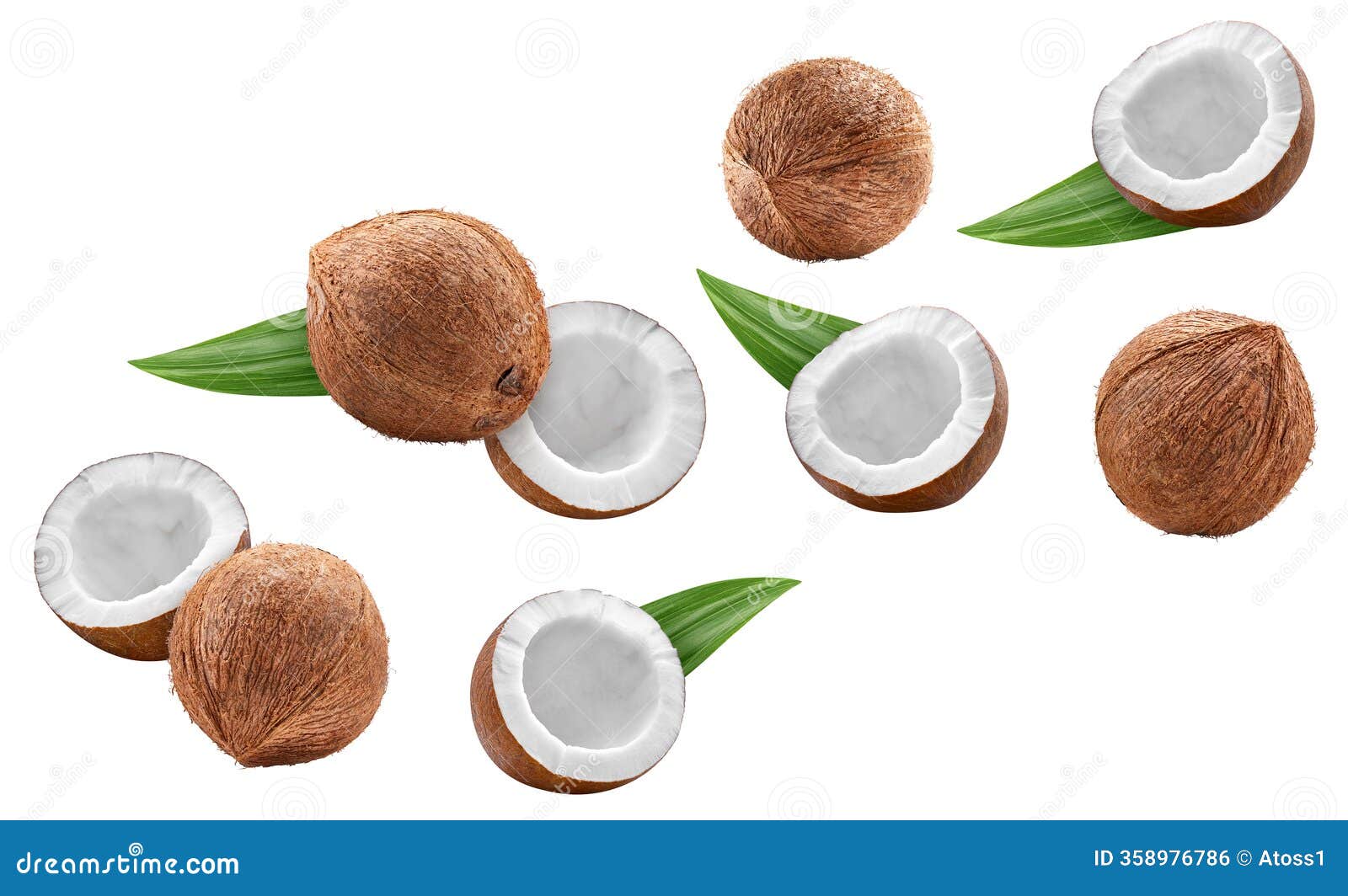Flying Coconute with Green Leaves Isolated on White Background Stock ...