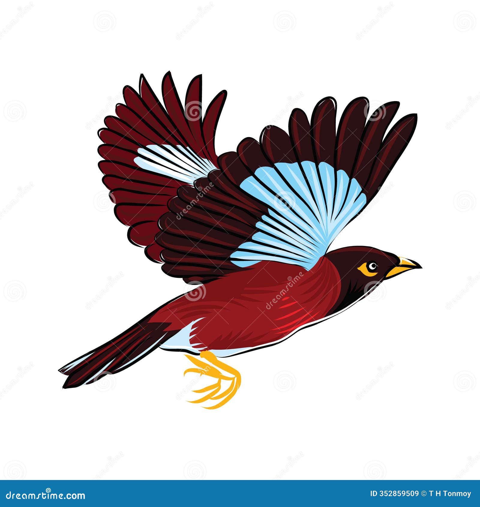 Common Myna Vector Illustration | CartoonDealer.com #20706138