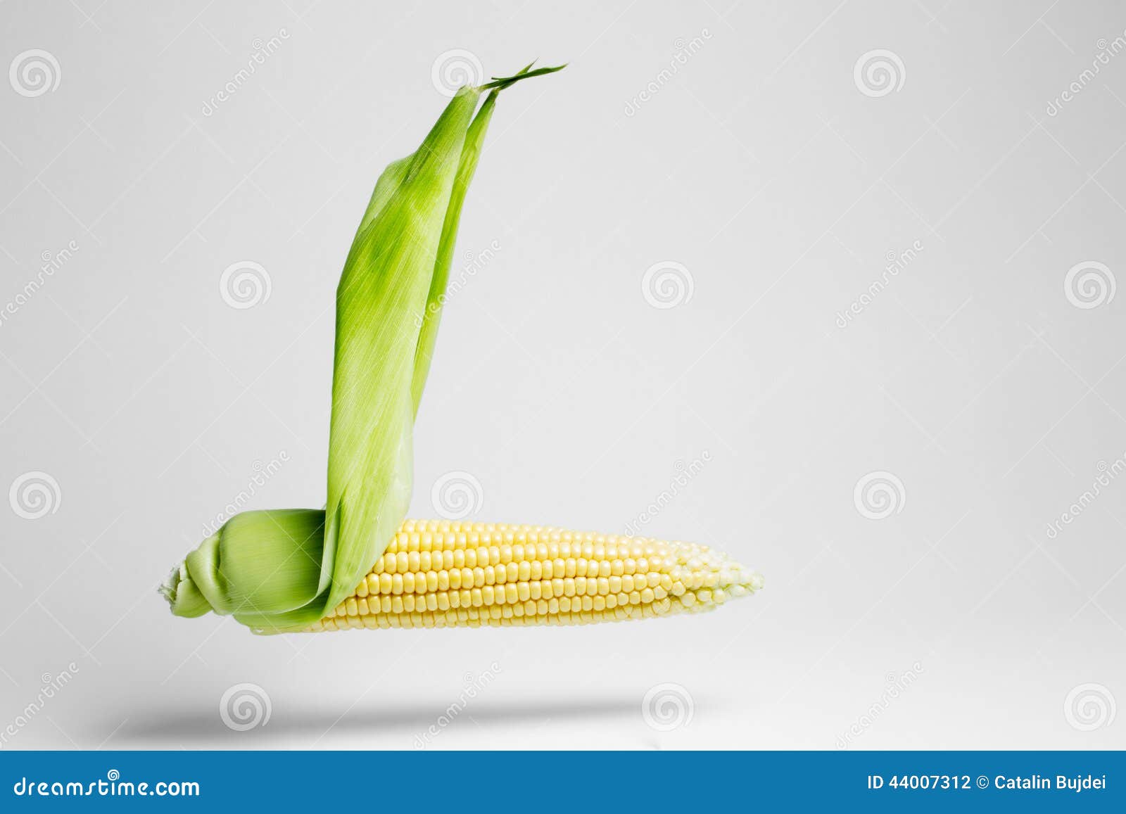 Flying corn stock photo. Image of texture, group, flying - 44007312