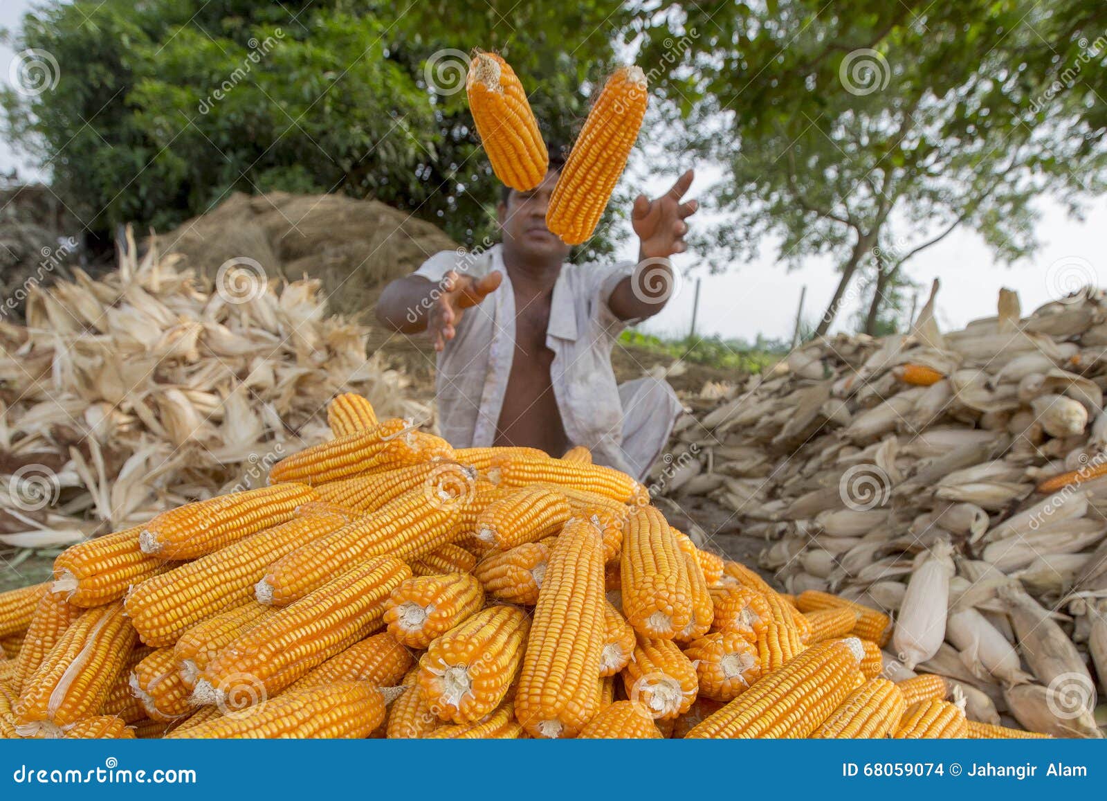 Flying Corn editorial stock image. Image of length, childhood - 68059074