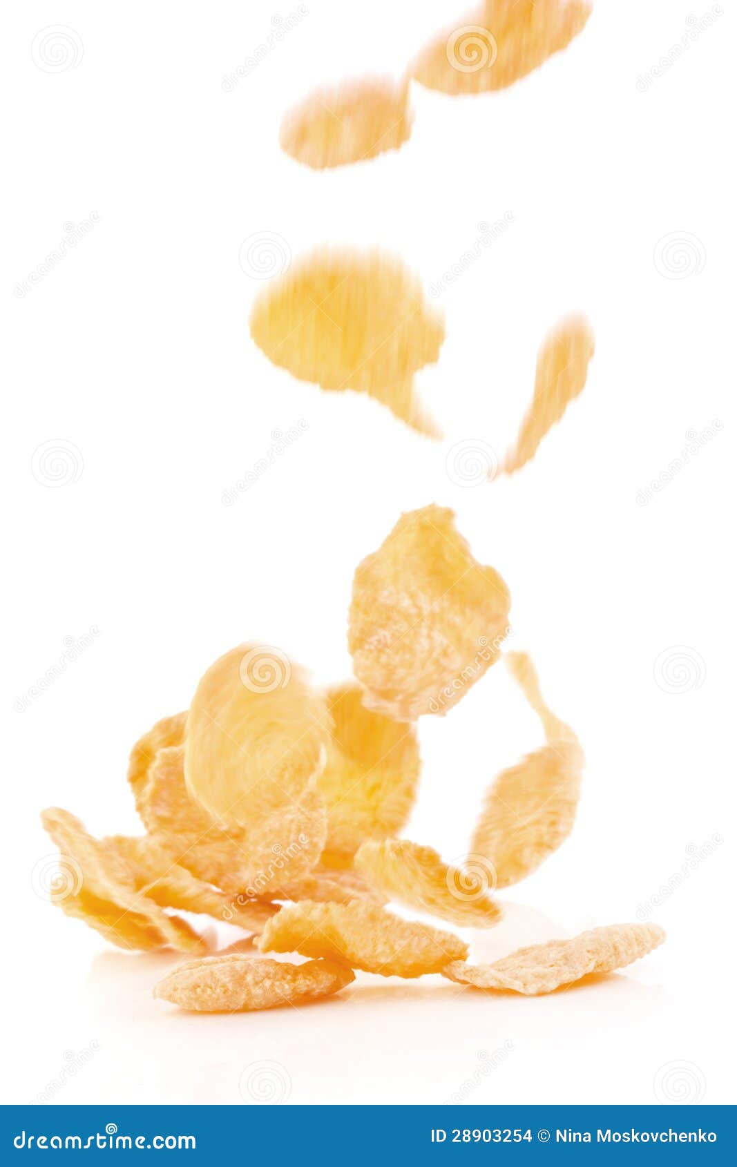 Flying corn flakes stock photo. Image of macro, falling - 28903254