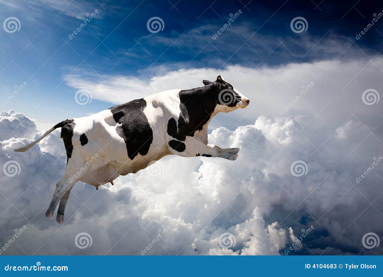 Flying Cow stock image. Image of fiction, flight, strange - 4104683
