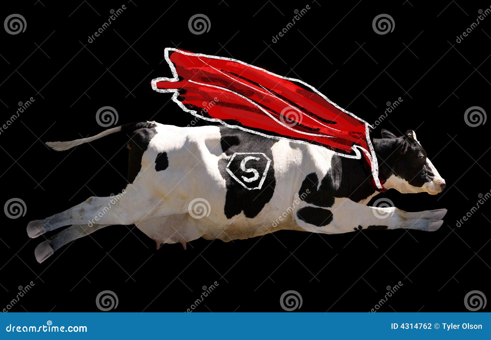 Flying Cow stock photo. Image of crazy, strange, farm - 4314762