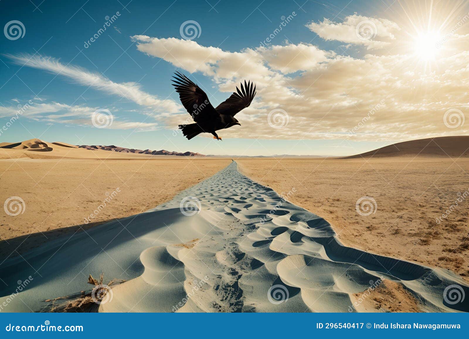 Flying crow in the desert stock image. Image of beach - 296540417