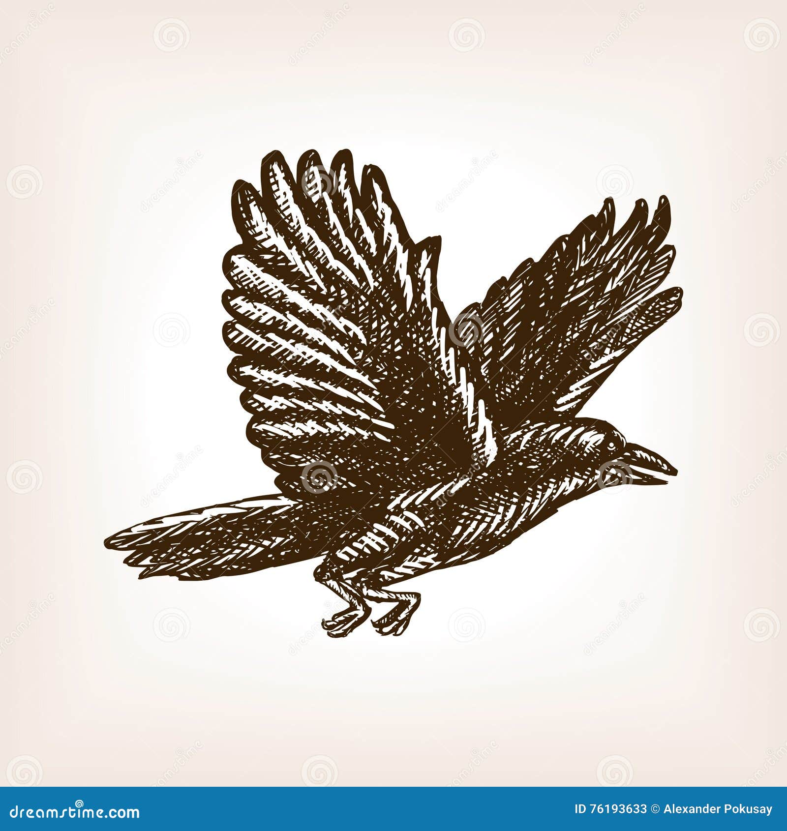 Flying Crow Sketch Vector Illustration Stock Vector - Illustration of ...