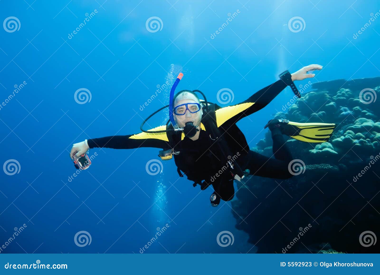 Flying diver stock image. Image of sight, tropical, extreme - 5592923