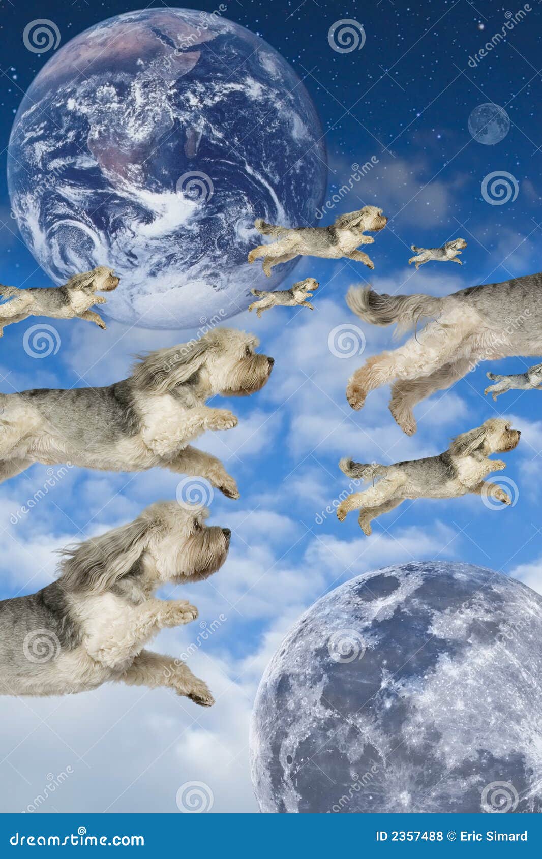 Flying Dogs stock photo. Image of earth, exploration, blue - 2357488