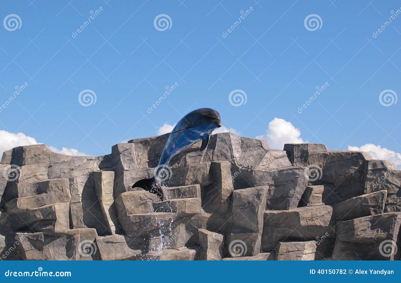 Flying dolphin stock photo. Image of wonderful, resort - 40150782