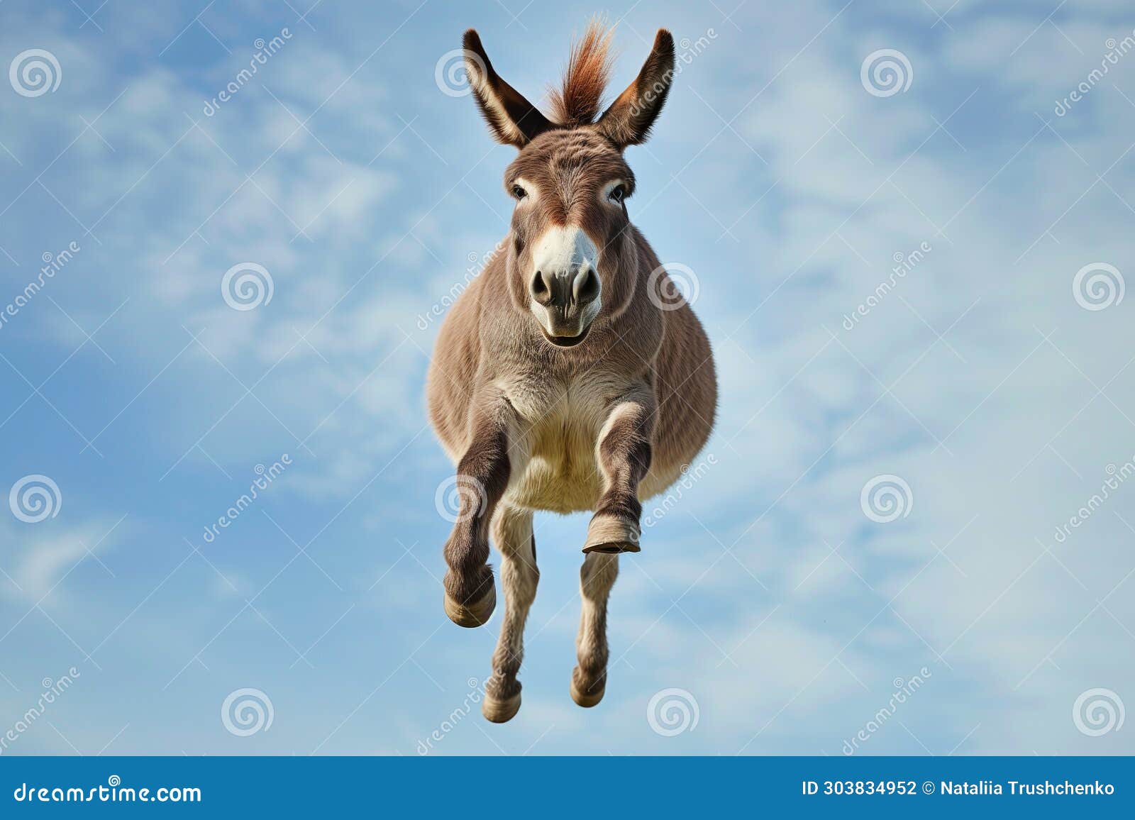 Flying Donkey Against the Blue Sky. Playful Donkey Jumping in Field ...