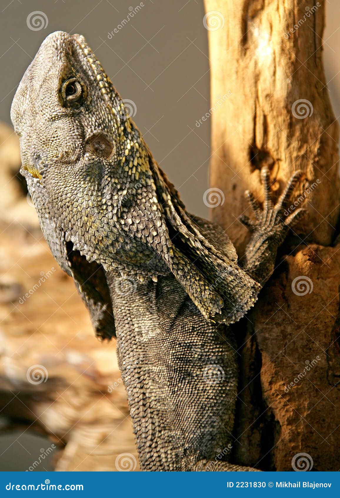 Flying Dragon(Feilong) Pavilion Of The Jinci Memorial Temple(museum ...